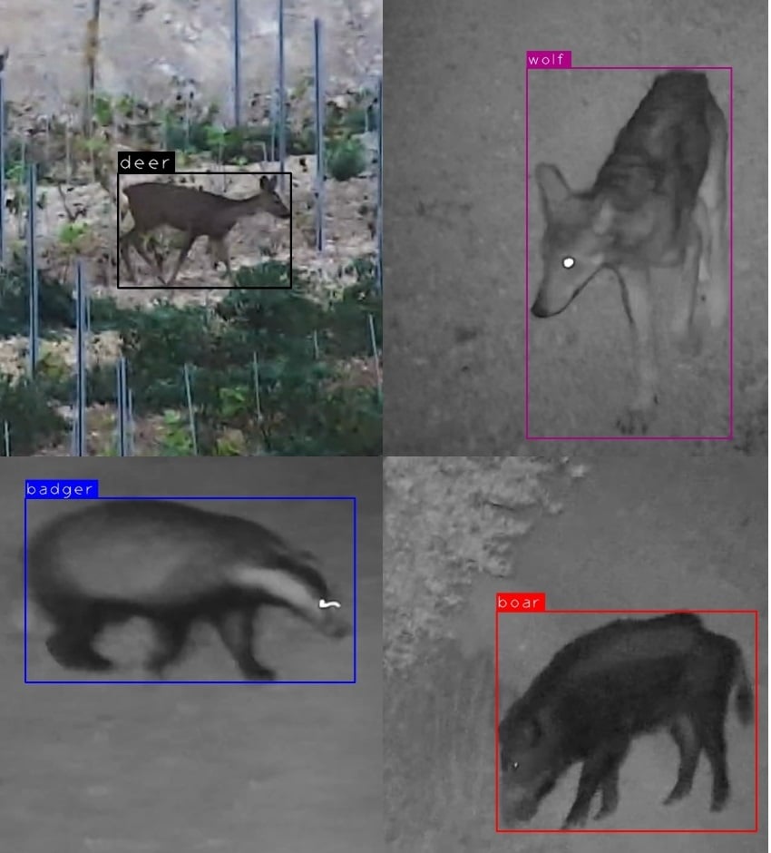 Pixelvision | Computer Vision Solutions